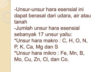 Unsur Hara. pada tanah dan yg dibutuhkan ole tanamanpptx | PPTX