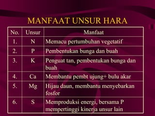Unsur hara makro | PPT