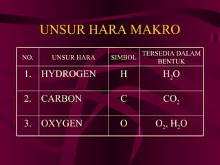 Unsur hara makro | PPT