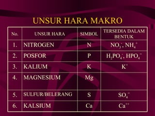 Unsur hara makro | PPT