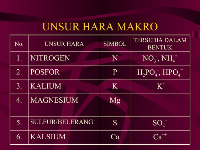 Unsur hara makro | PPT