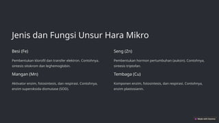Peran vutal Unsur hara mikro untuk tanaman.pptx