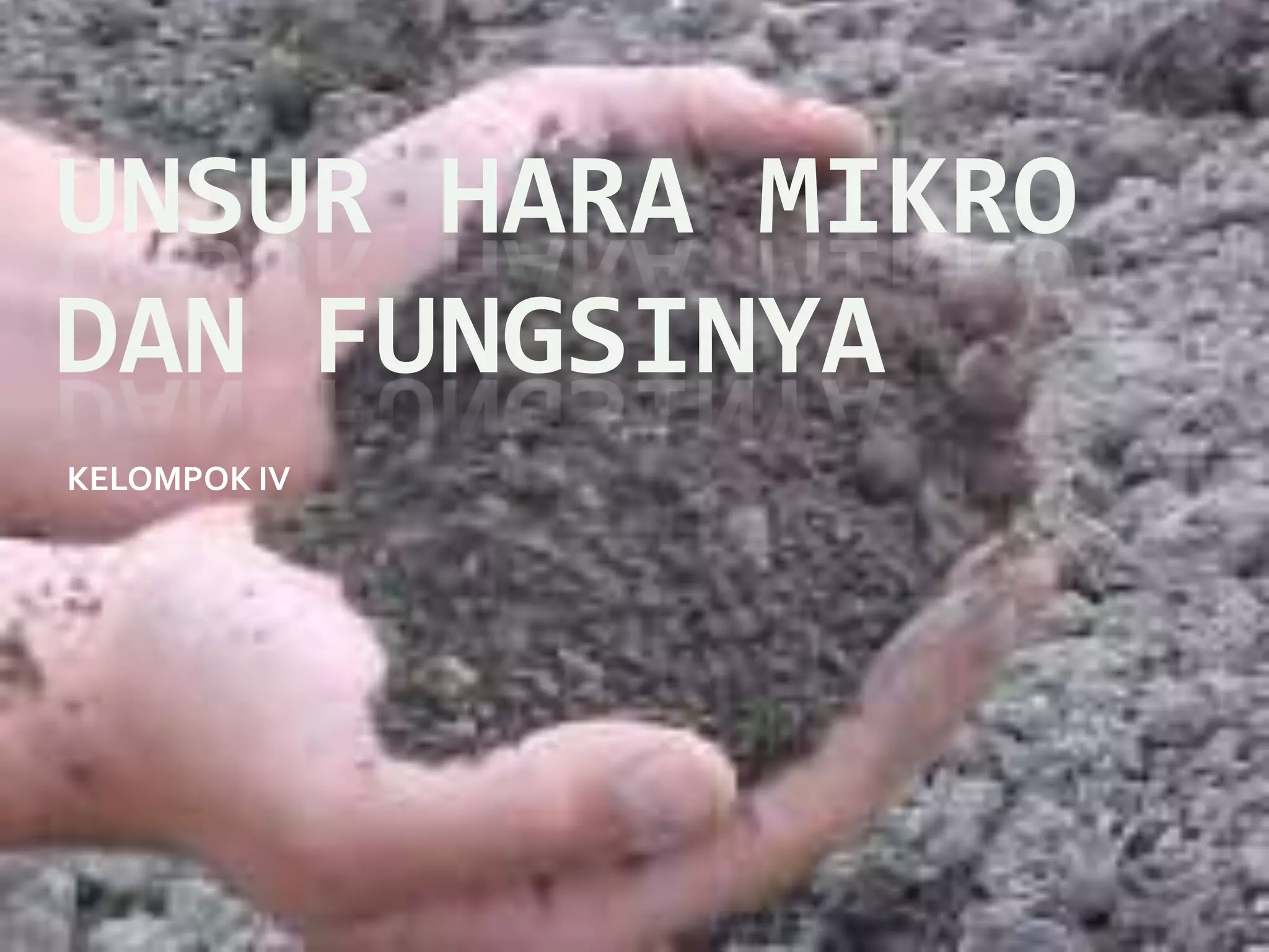 Unsur hara mikro dan fungsinya | PPTX