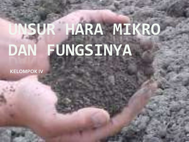 Unsur hara mikro dan fungsinya | PPTX