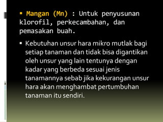 Unsur hara mikro dan fungsinya | PPTX