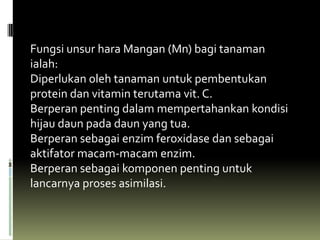 Unsur hara mikro dan fungsinya | PPTX