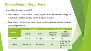 Fungsi dan Mekanisme Unsur Hara Tanaman.pptx
