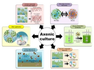 Types of microbial culture cultures) | PPTX