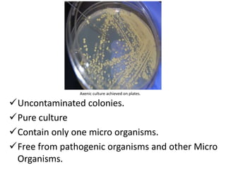 Types of microbial culture cultures) | PPTX