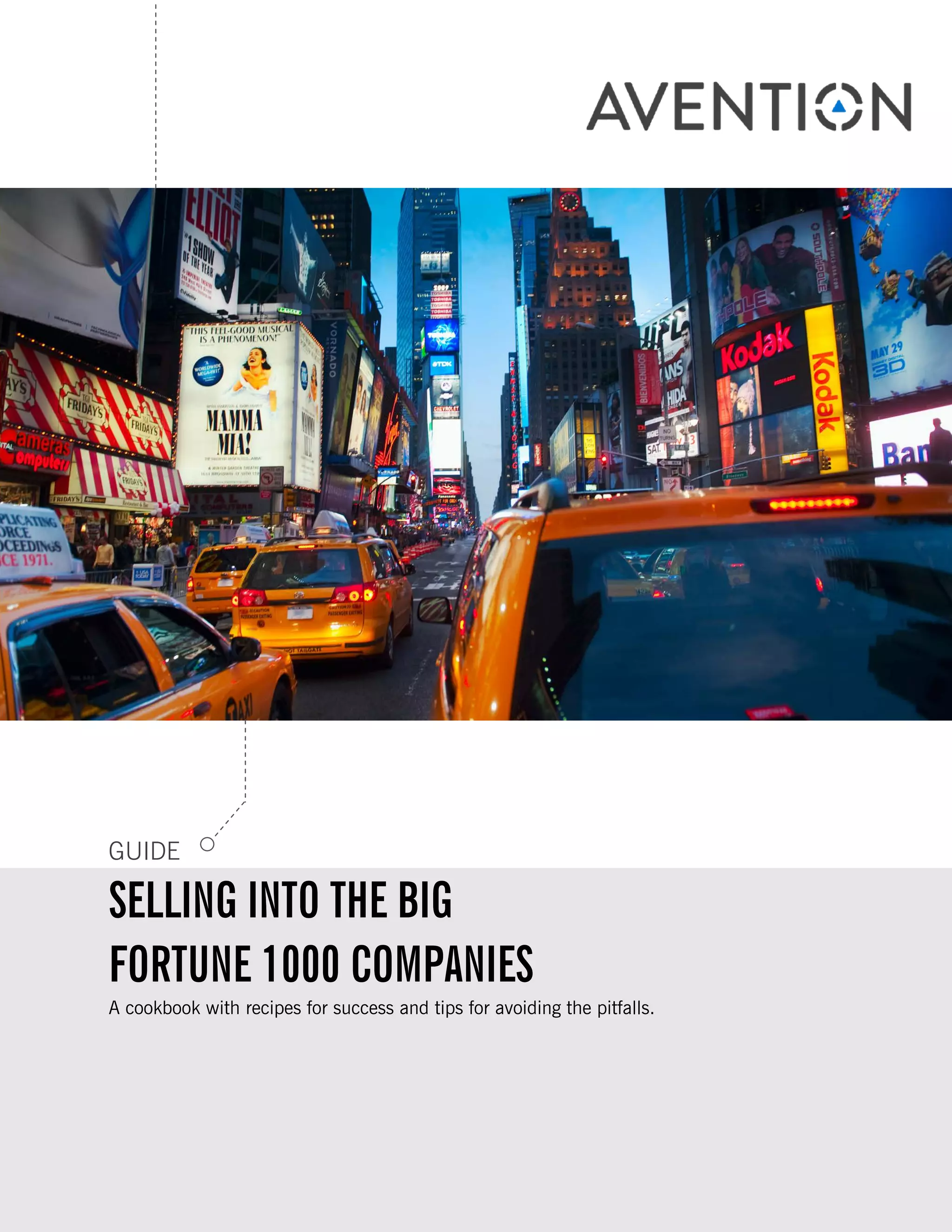 Guide: Selling into the Big Fortune 1000 | PDF