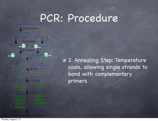 PCR | PPT