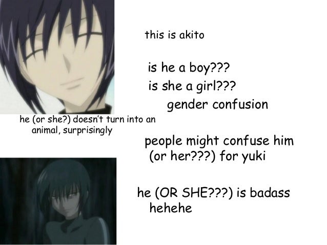 Guide to Fruits Basket