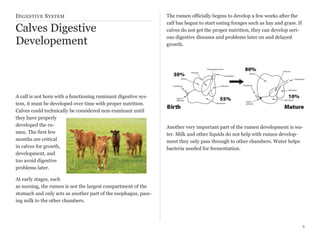 Digestive System | PDF