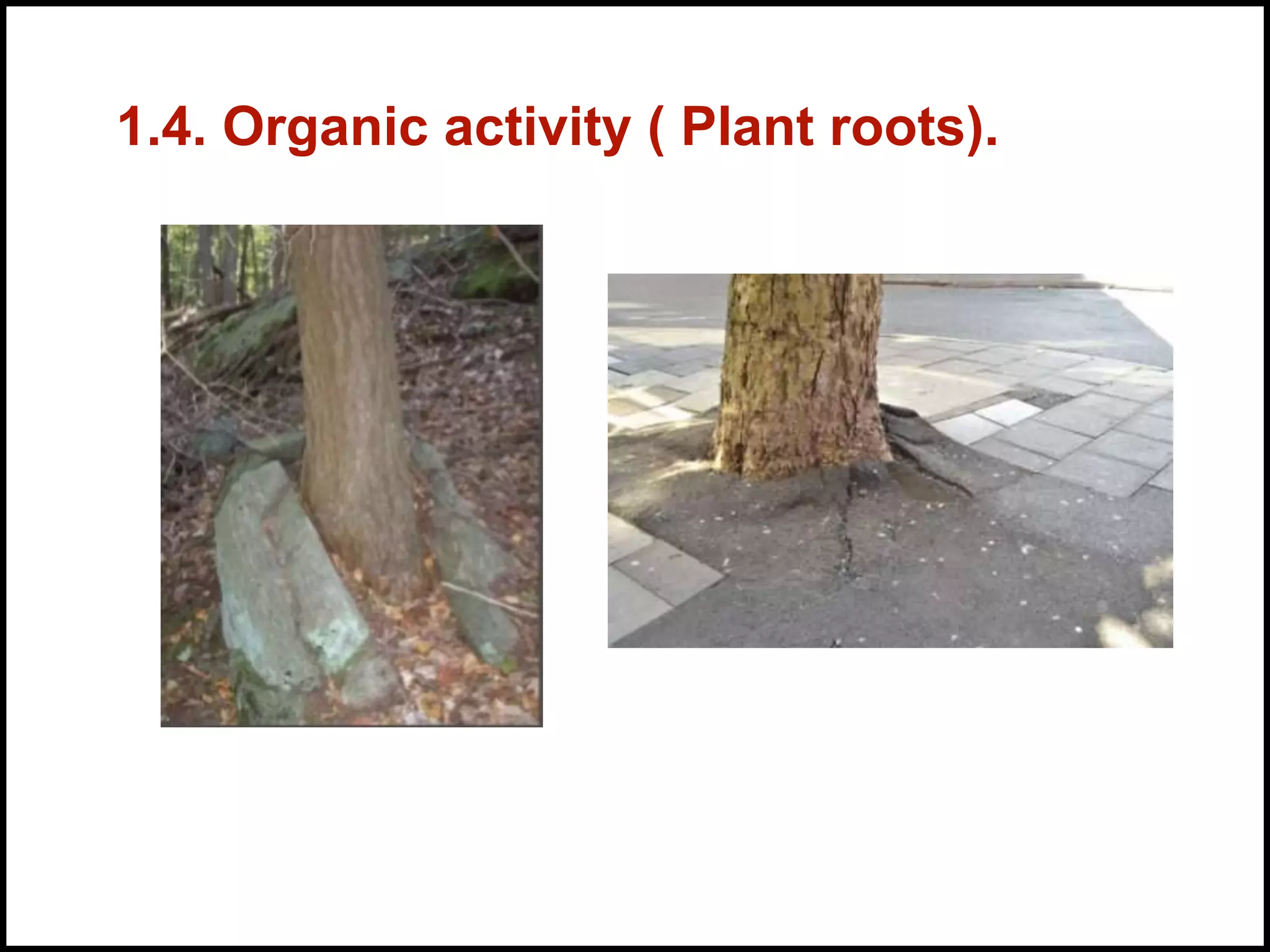 weathering with example | PPTX