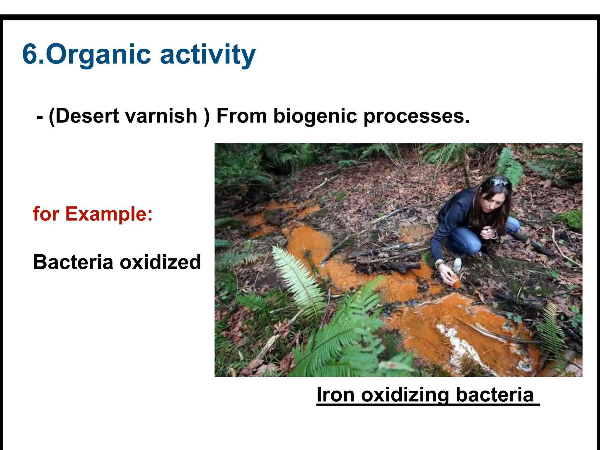 weathering with example | PPTX
