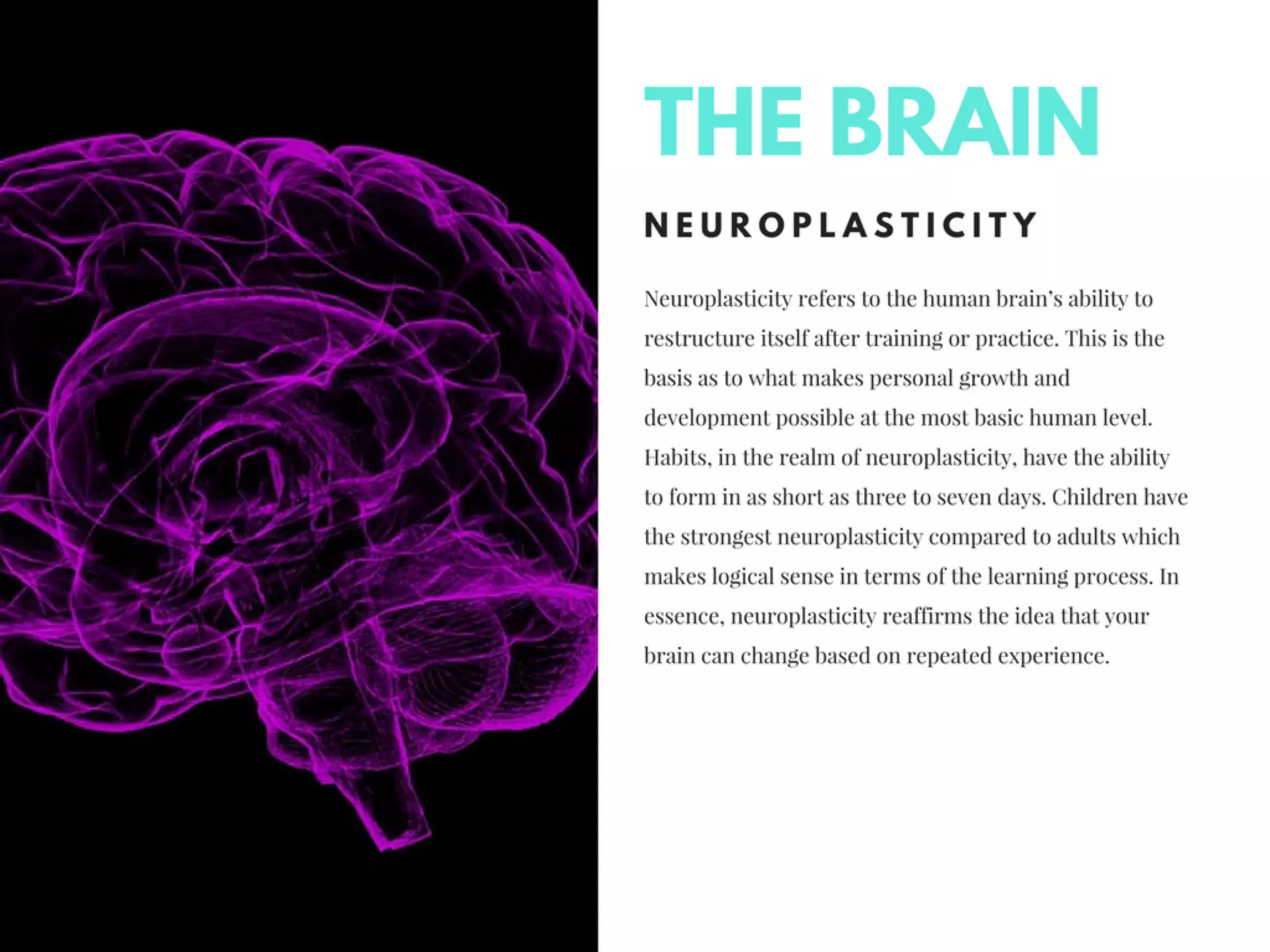 What Creates Habit? - Neuroplasticity | PDF