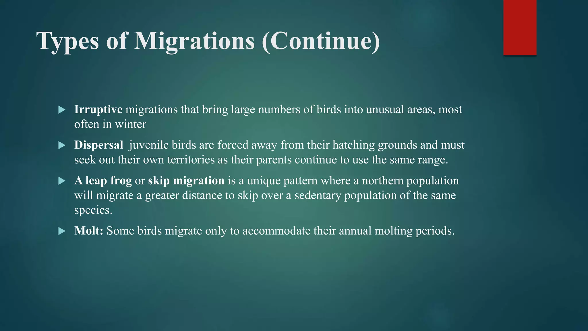 Migration in Birds | PPTX
