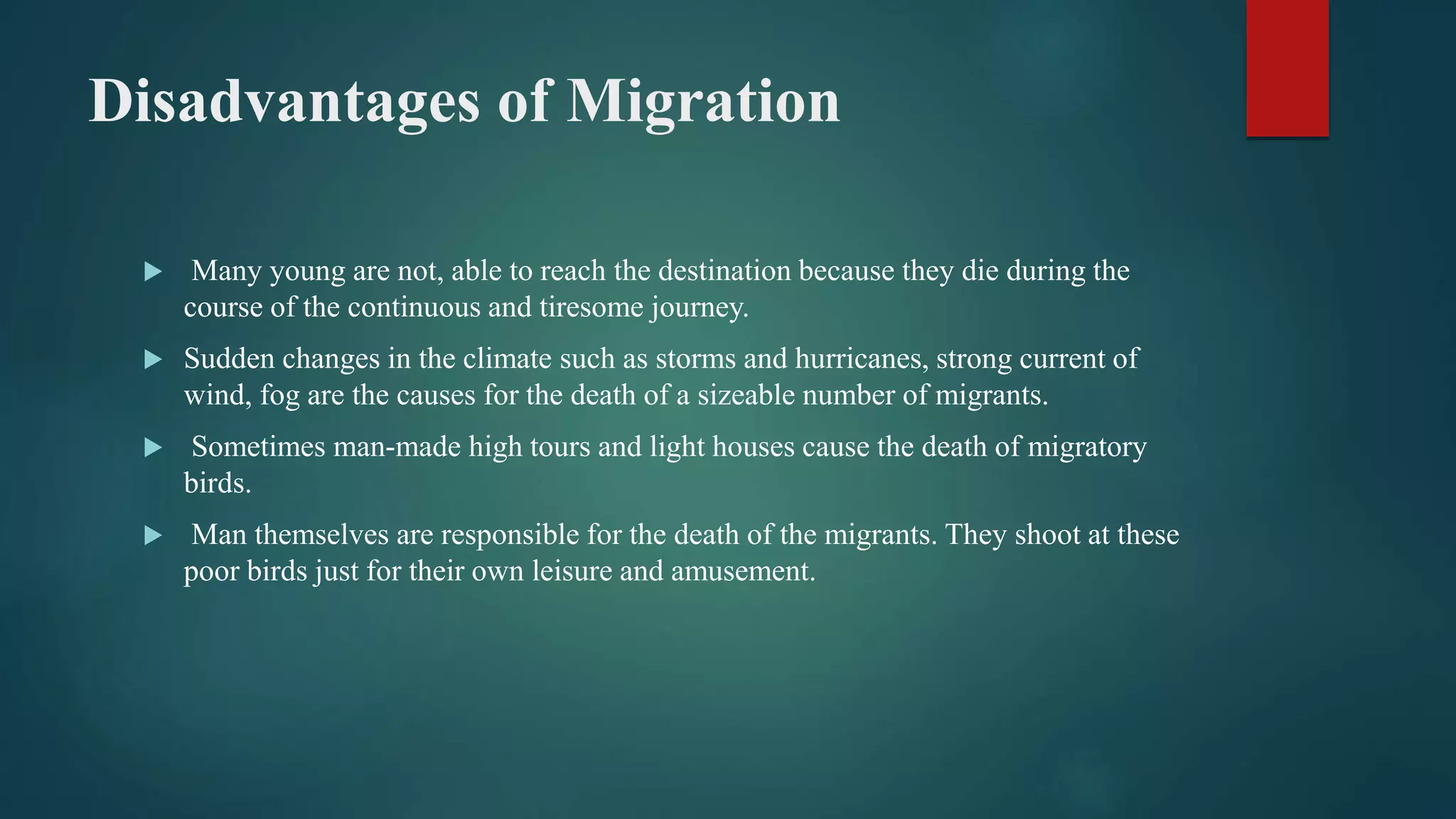Migration in Birds | PPTX