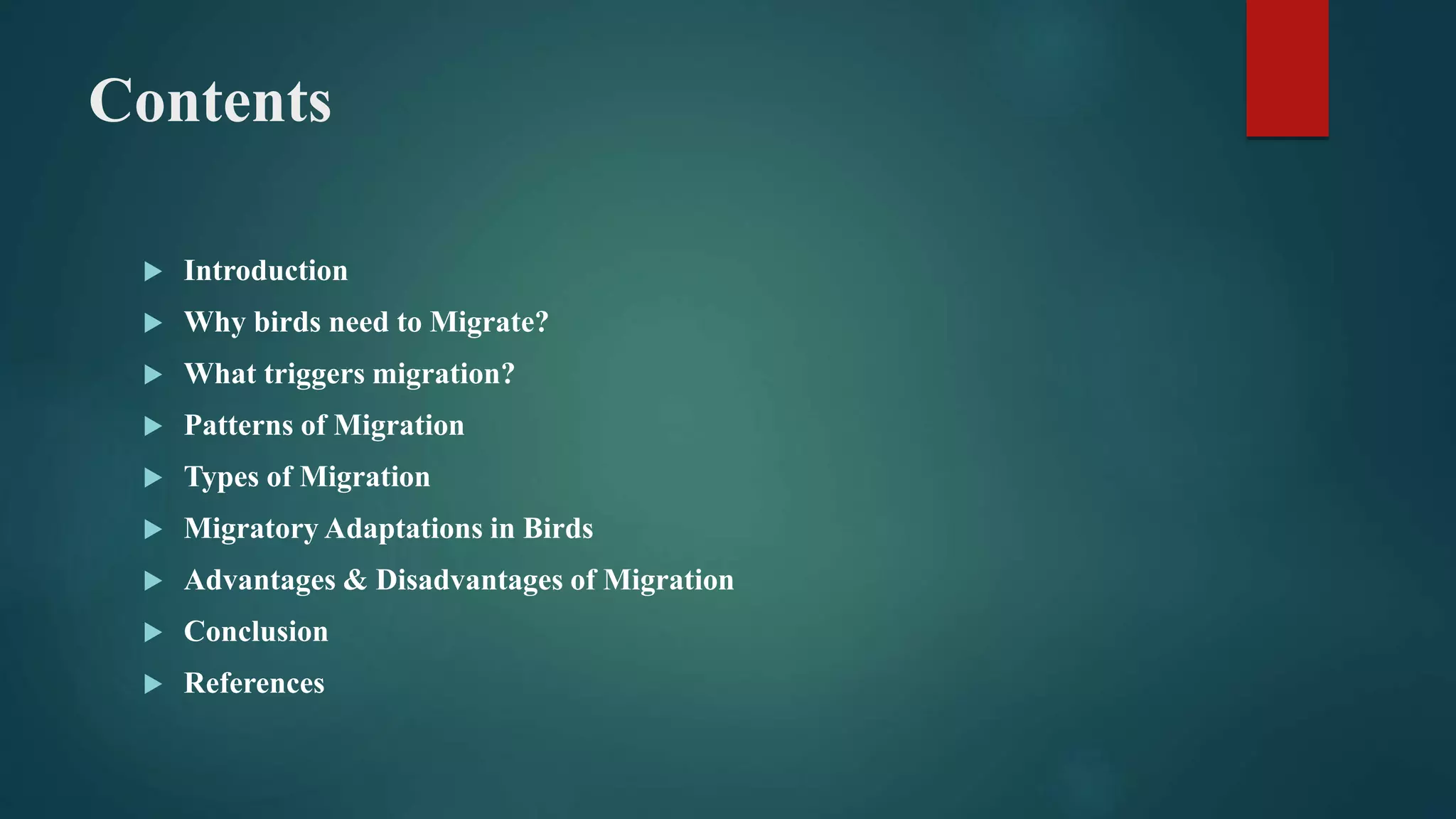 Migration in Birds | PPTX