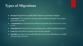 Migration in Birds | PPTX
