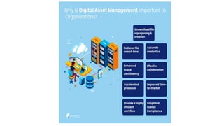 DAM graph | PPTX