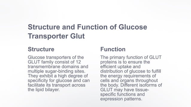 glut transport ppt on glut 4 all described in detail | PPTX