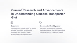 glut transport ppt on glut 4 all described in detail | PPTX