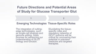glut transport ppt on glut 4 all described in detail | PPTX