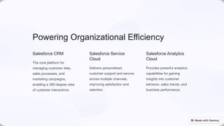 Salesforce organization overview and more details. | PPTX