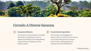 Introduction to Brazil's biodiversity... | PDF