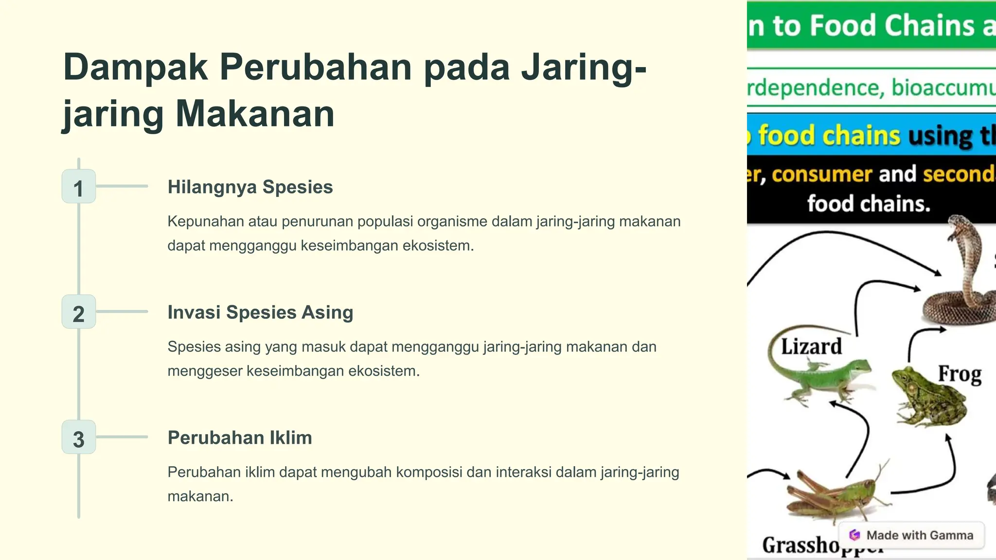 Jaring-Jaring Makanan komponen jaring-jaring makananpptx | PPT