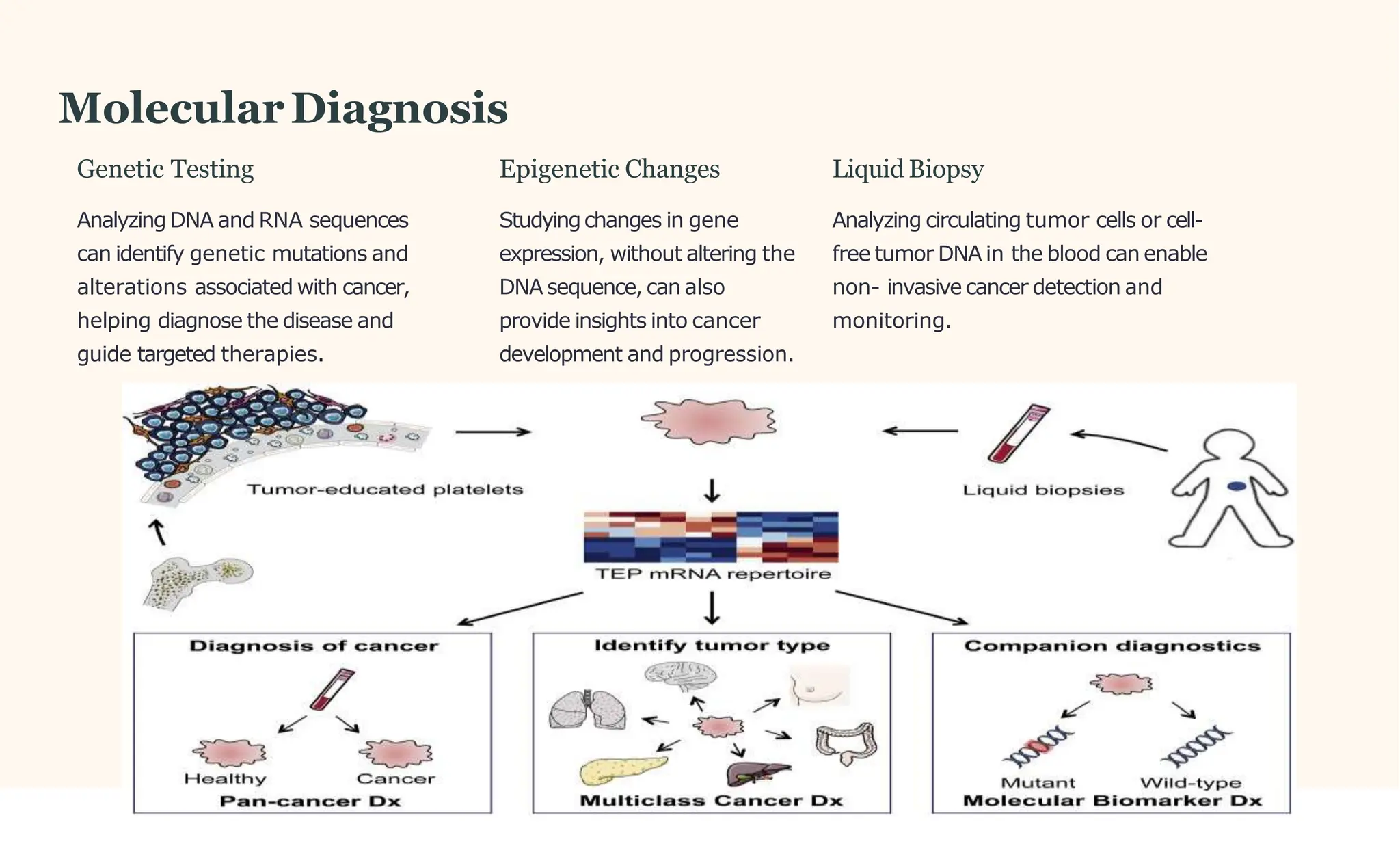 Untitled.pptx laboratory diagnostic of cancer | PPTX
