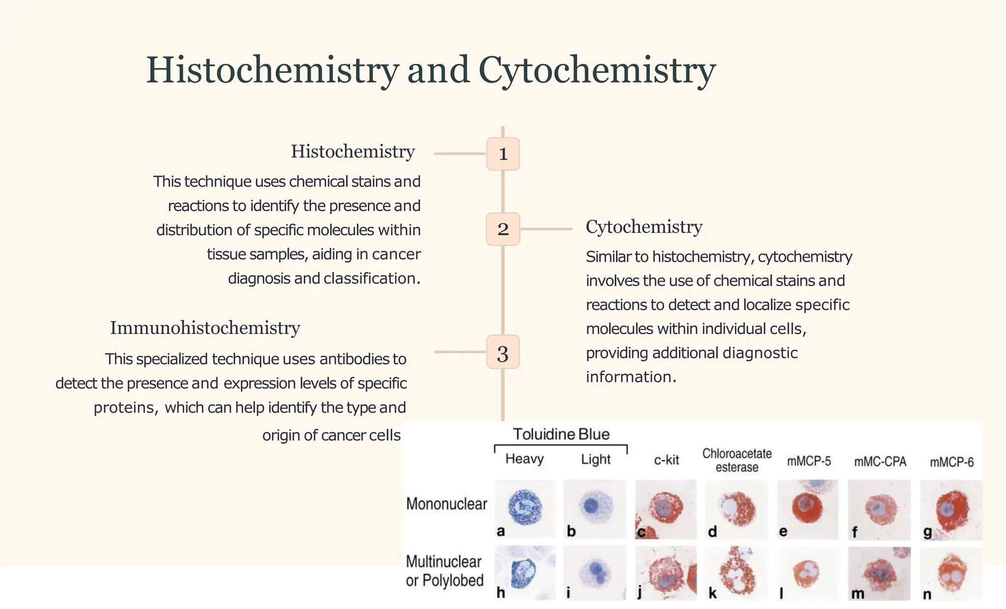 Untitled.pptx laboratory diagnostic of cancer | PPTX