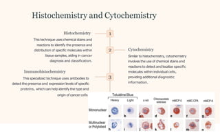Untitled.pptx laboratory diagnostic of cancer | PPT