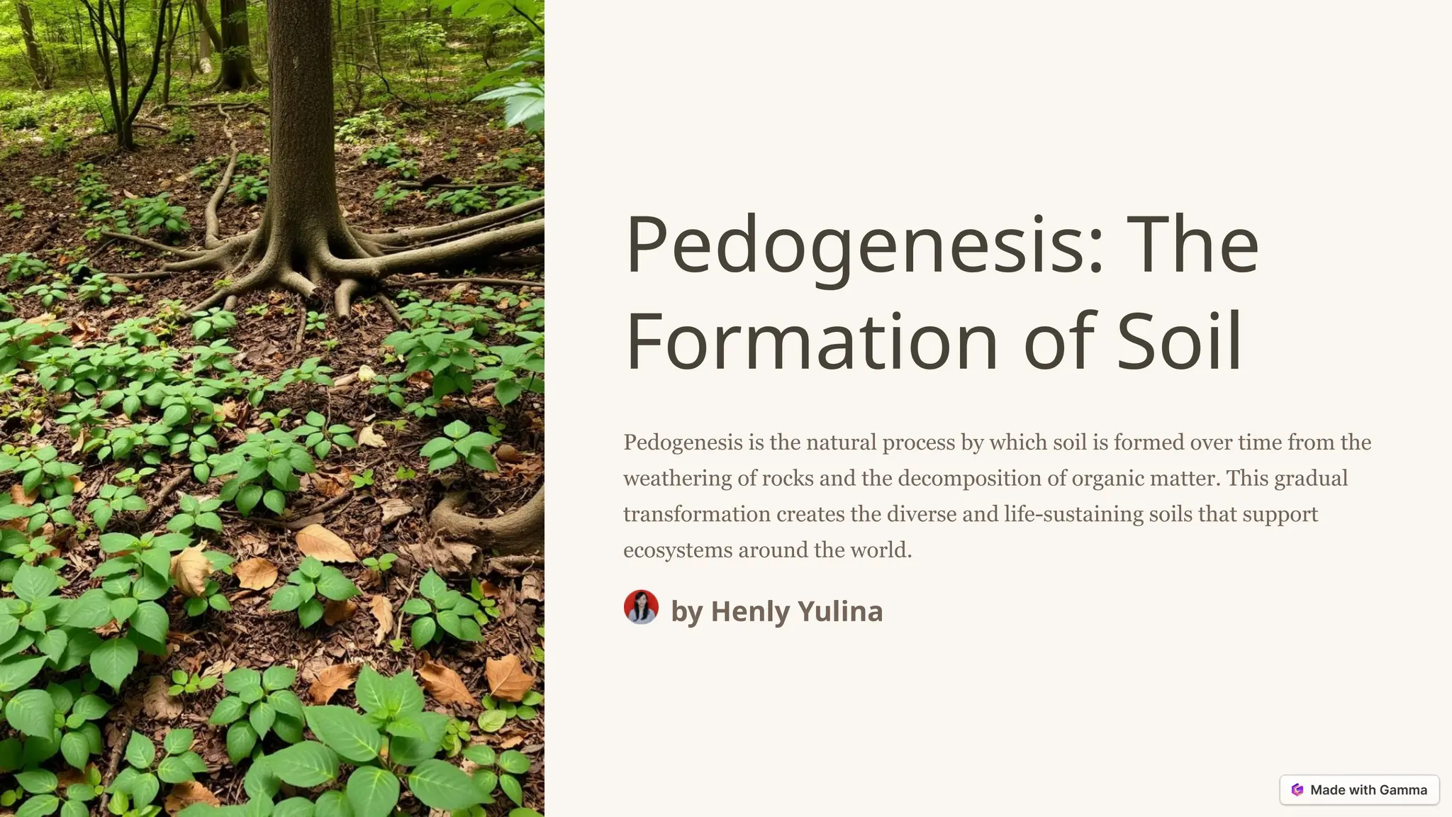 Soil Pedogenesis: The Formation of Soil | PPTX