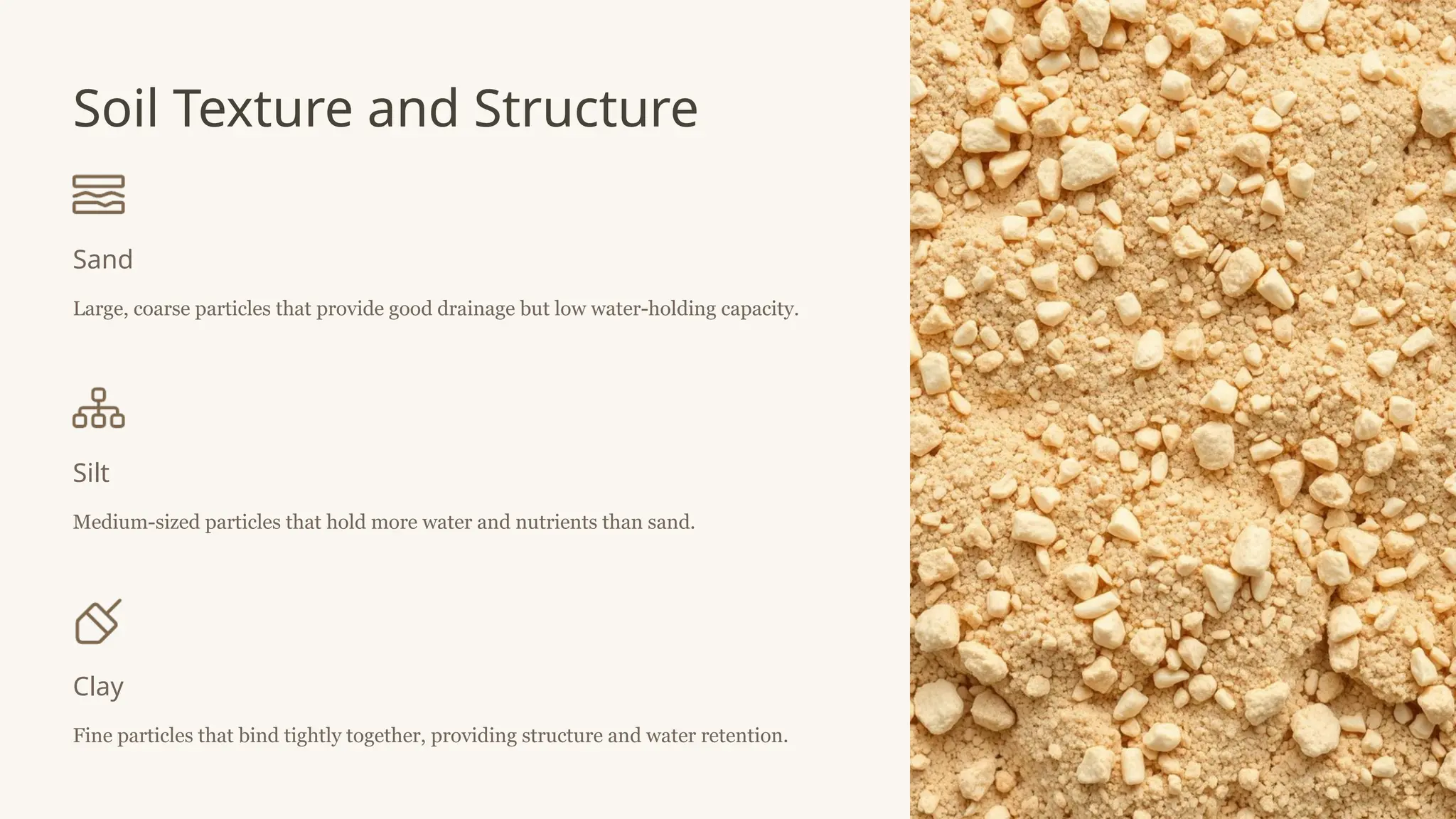 Soil Pedogenesis: The Formation of Soil | PPTX