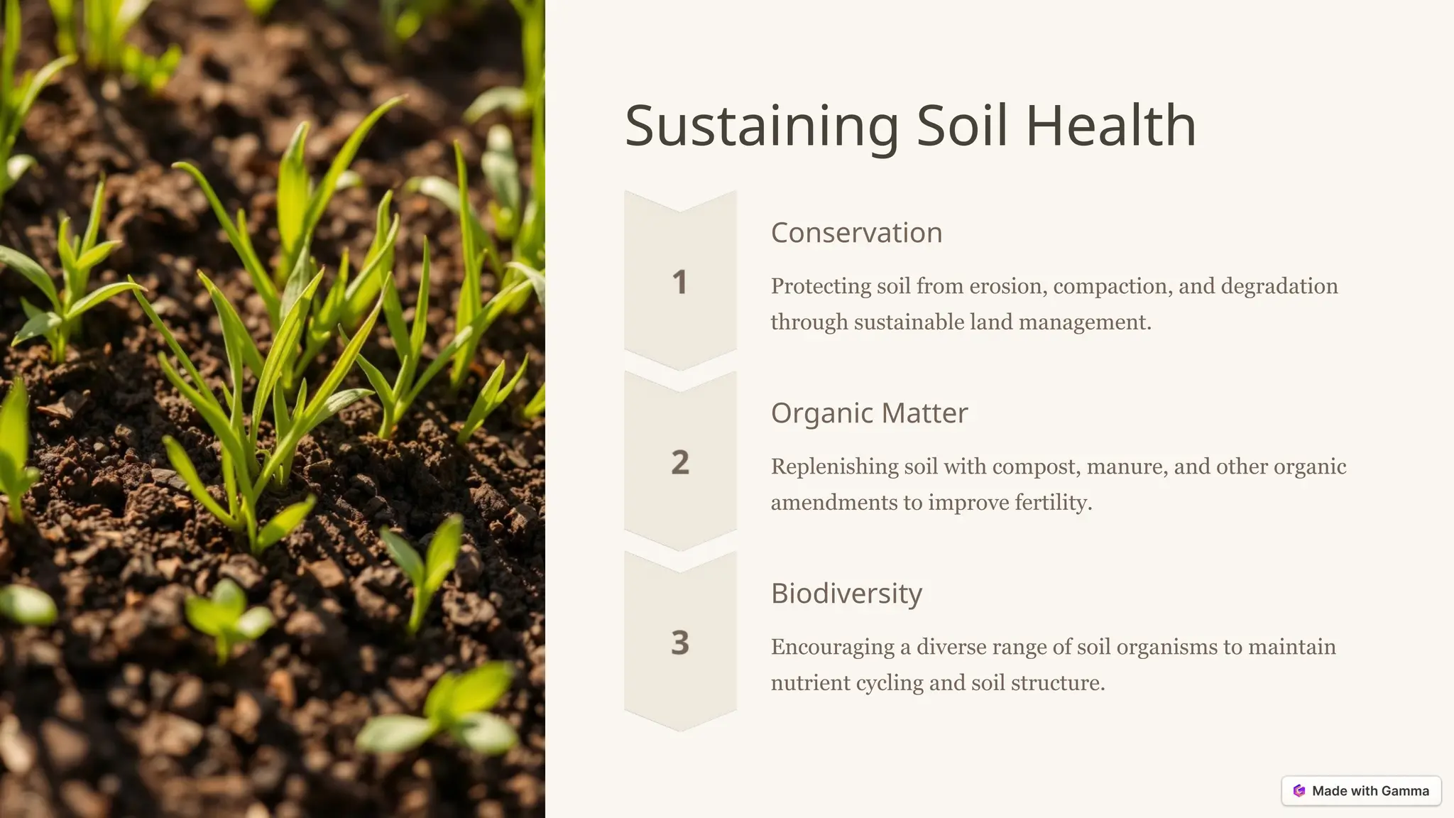 Soil Pedogenesis: The Formation of Soil | PPTX