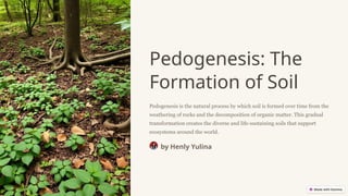 Soil Pedogenesis: The Formation of Soil | PPTX
