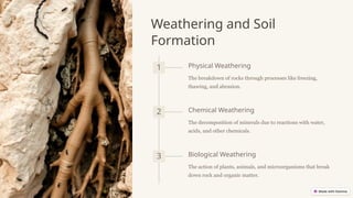 Soil Pedogenesis: The Formation of Soil | PPTX