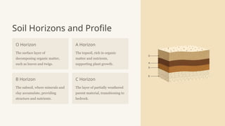 Soil Pedogenesis: The Formation of Soil | PPTX