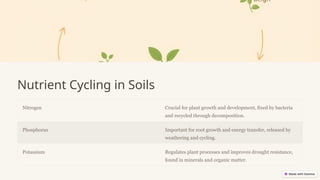 Soil Pedogenesis: The Formation of Soil | PPTX