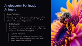 Mode of pollination ,structural differences and role of pollinators | PPTX