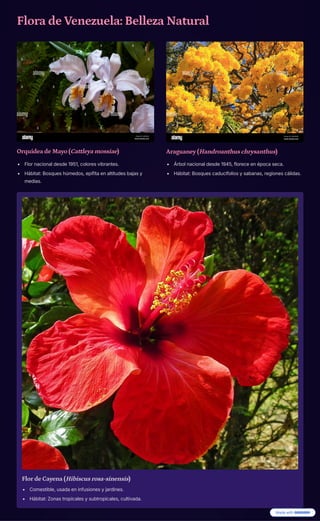 Flora y fauna venezuelana llena de color | PDF