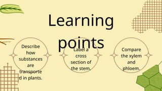 parts of a plant 2: stem parts and functions | PPTX