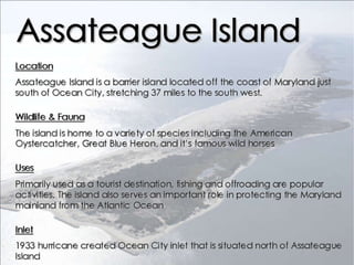 Assateague Island | PPT