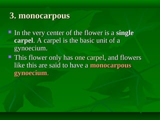 Flower Morphology 2 (updated) | PPT