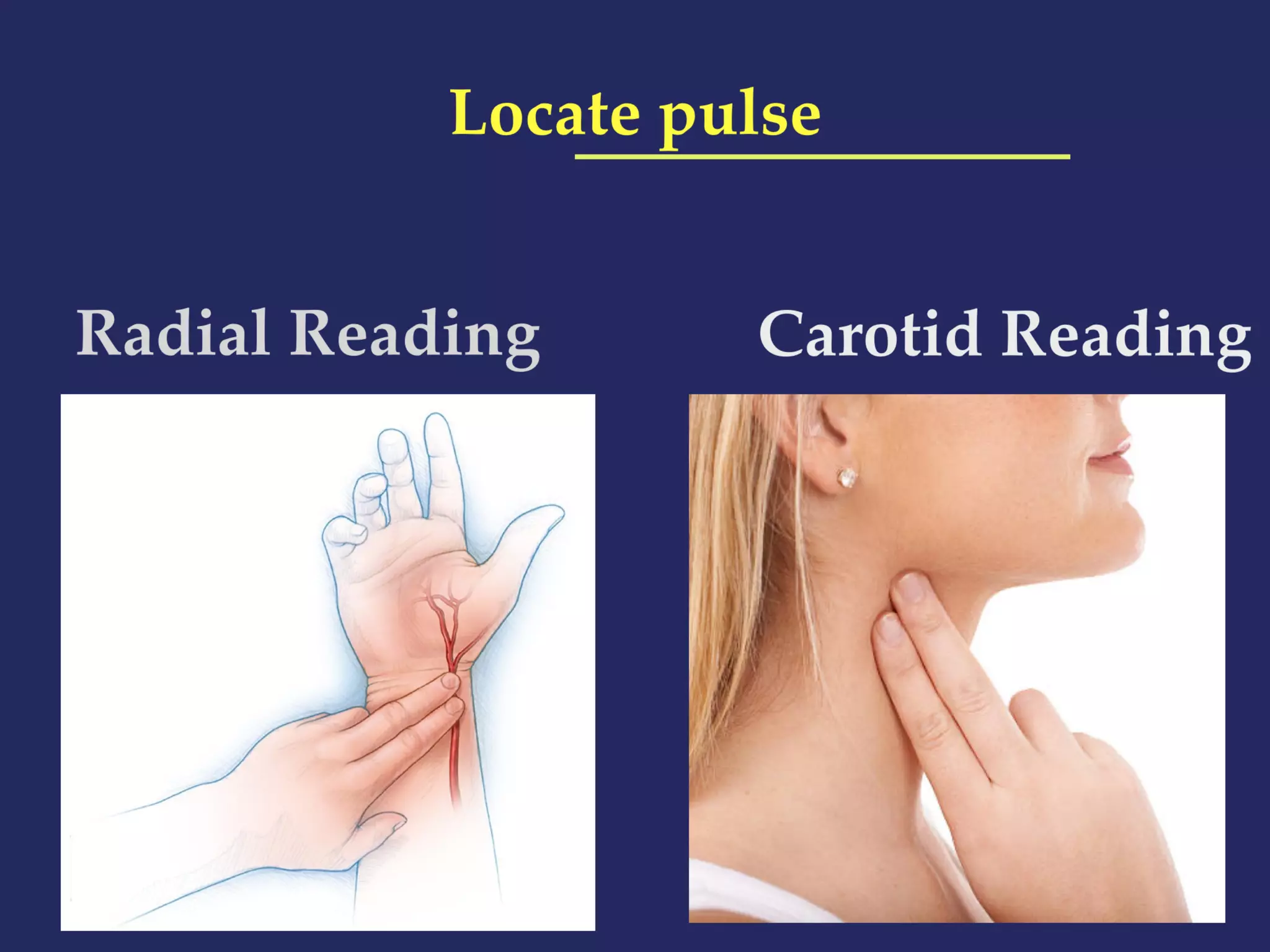 Harvard Step Test | PDF