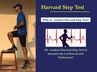 Harvard Step Test | PDF