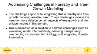 rough intro about xai and the uses of xai in decision making | PPT