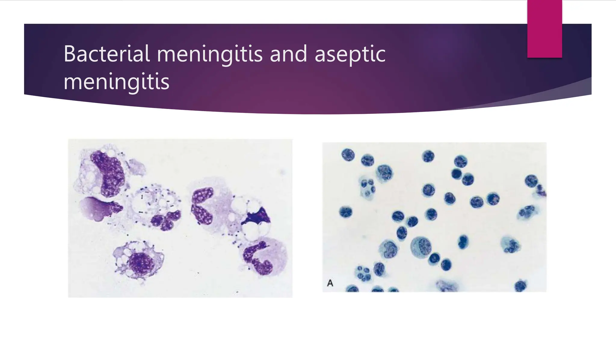 Untitled (16).pptx jehhe jshshs jejsj jej | PPT